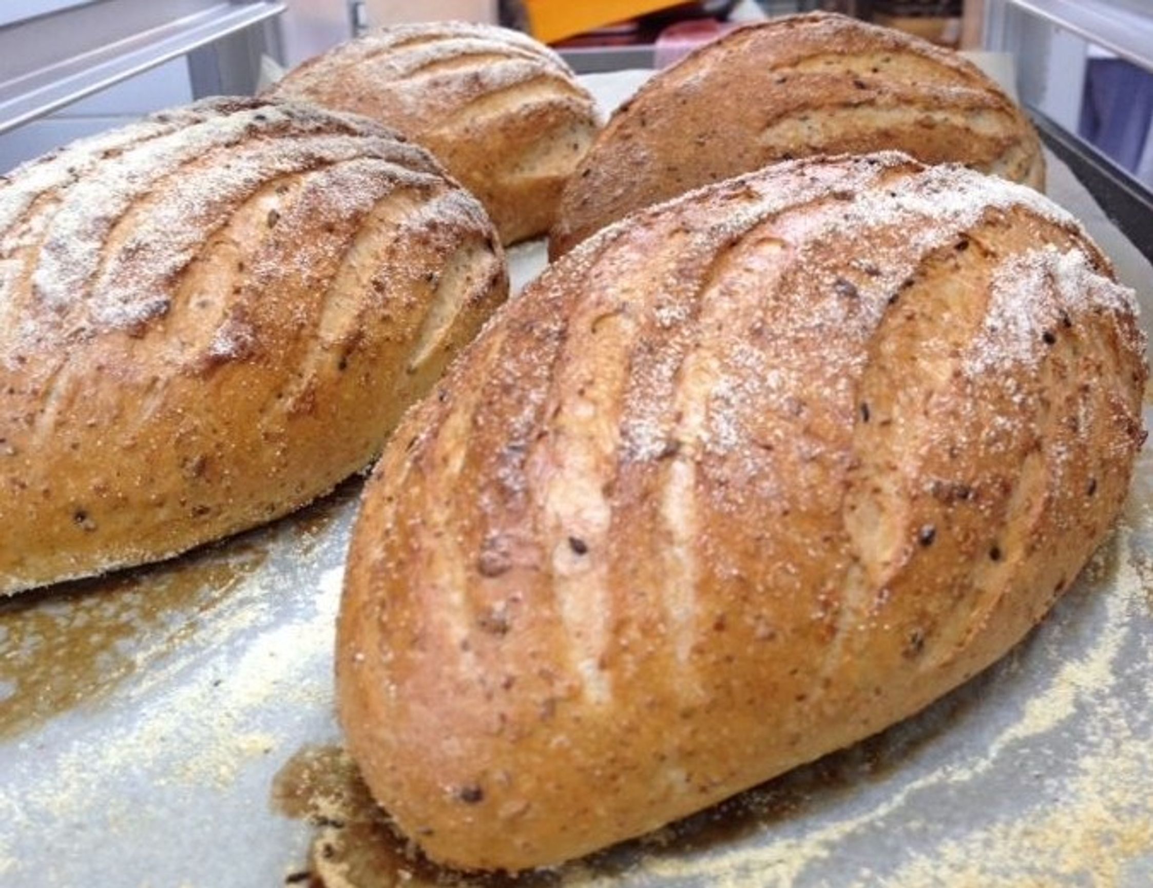 Photo Gallery – Mike’s Baking Journey